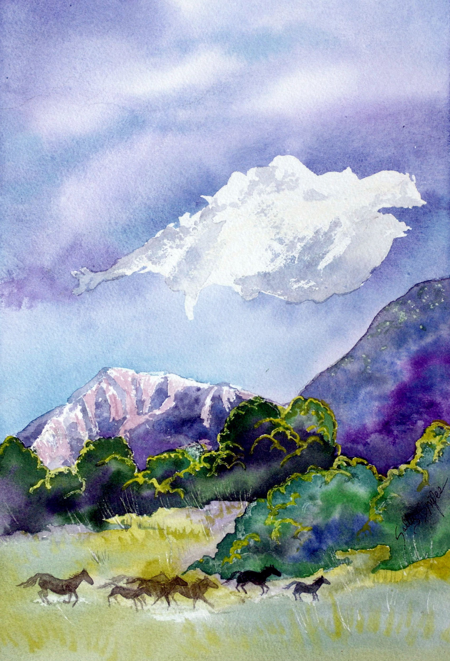 A Bit About Sally | Sally Snipes Art Portfolio